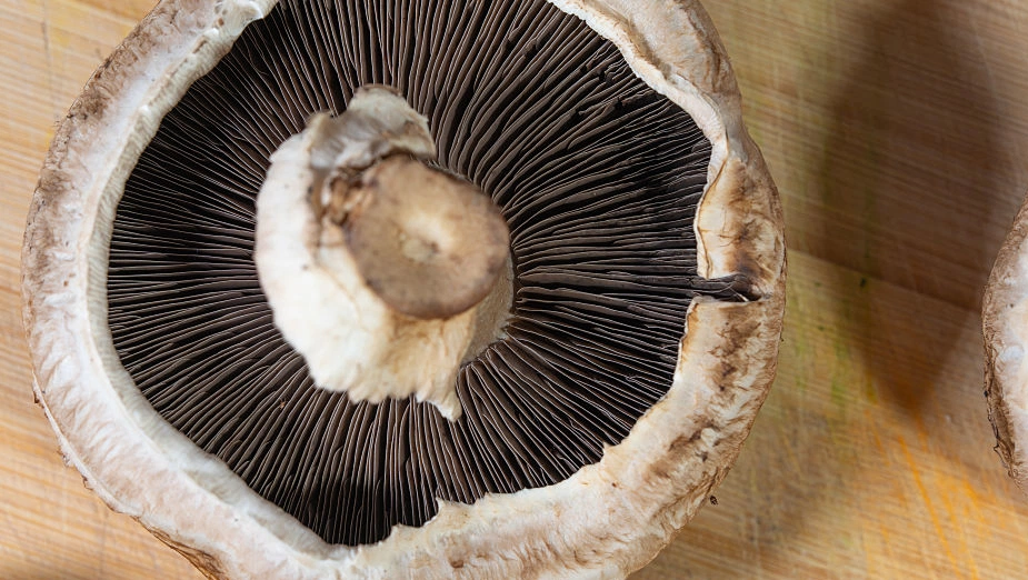 Mushroom magic for flavor and health