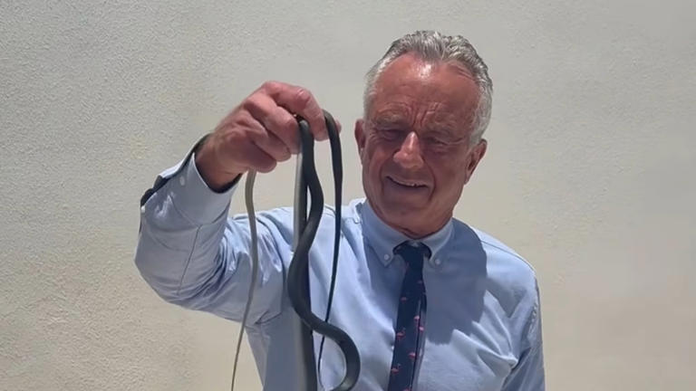 Robert F Kennedy Jr. stops 2 snakes from having sex on Dr. Oz's porch