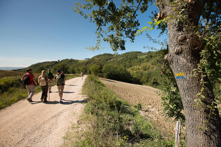 Festival in Cammino 2026: il primo festival itinerante lungo il Cammino ...