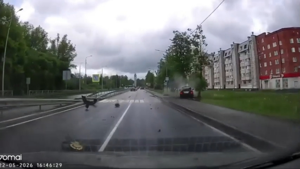 Speeding car crashes into tree on wet road in Russia