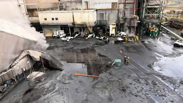 Nippon Dynawave: What to know about the Longview facility at the center ...