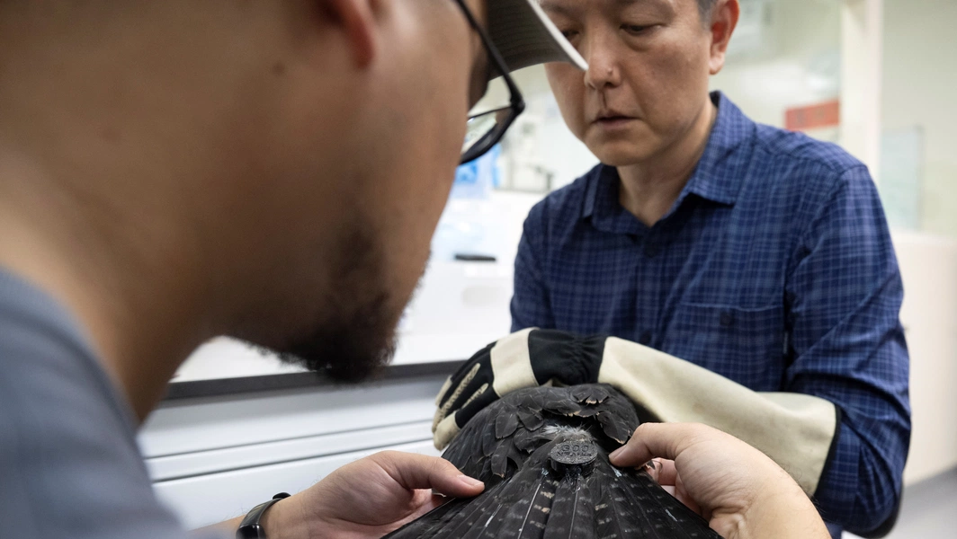 Study finds human presence alone reshapes animal behavior