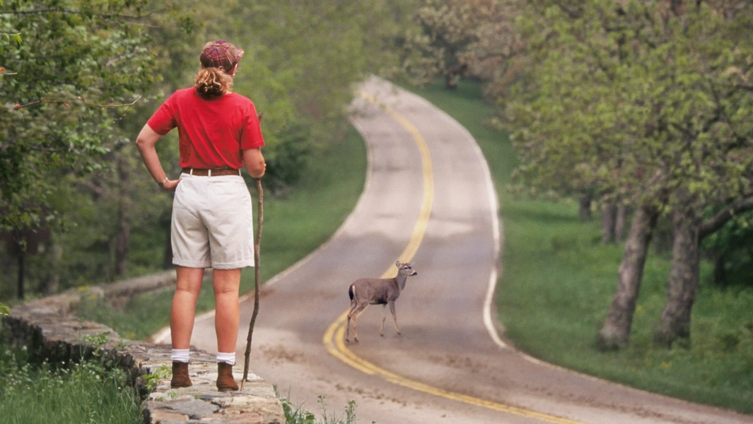 Study finds human presence alone reshapes animal behavior