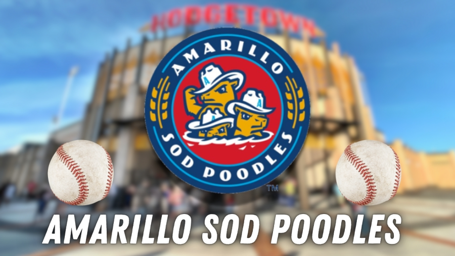 Sod Poodle Minute: Cooking Up Excellence