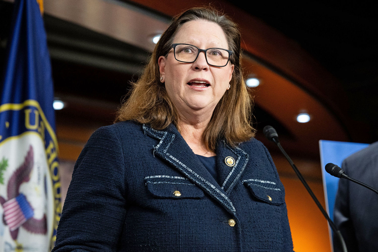 Rep. Julie Johnson unseated in Texas Democratic primary by predecessor ...