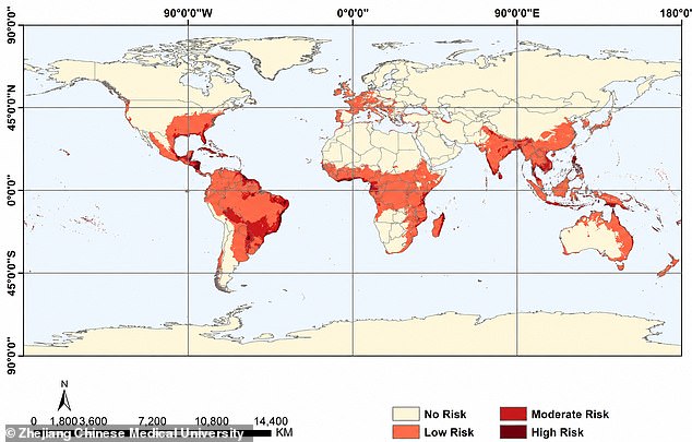 Chikungunya virus heading for Europe: Mosquito-borne disease could ...