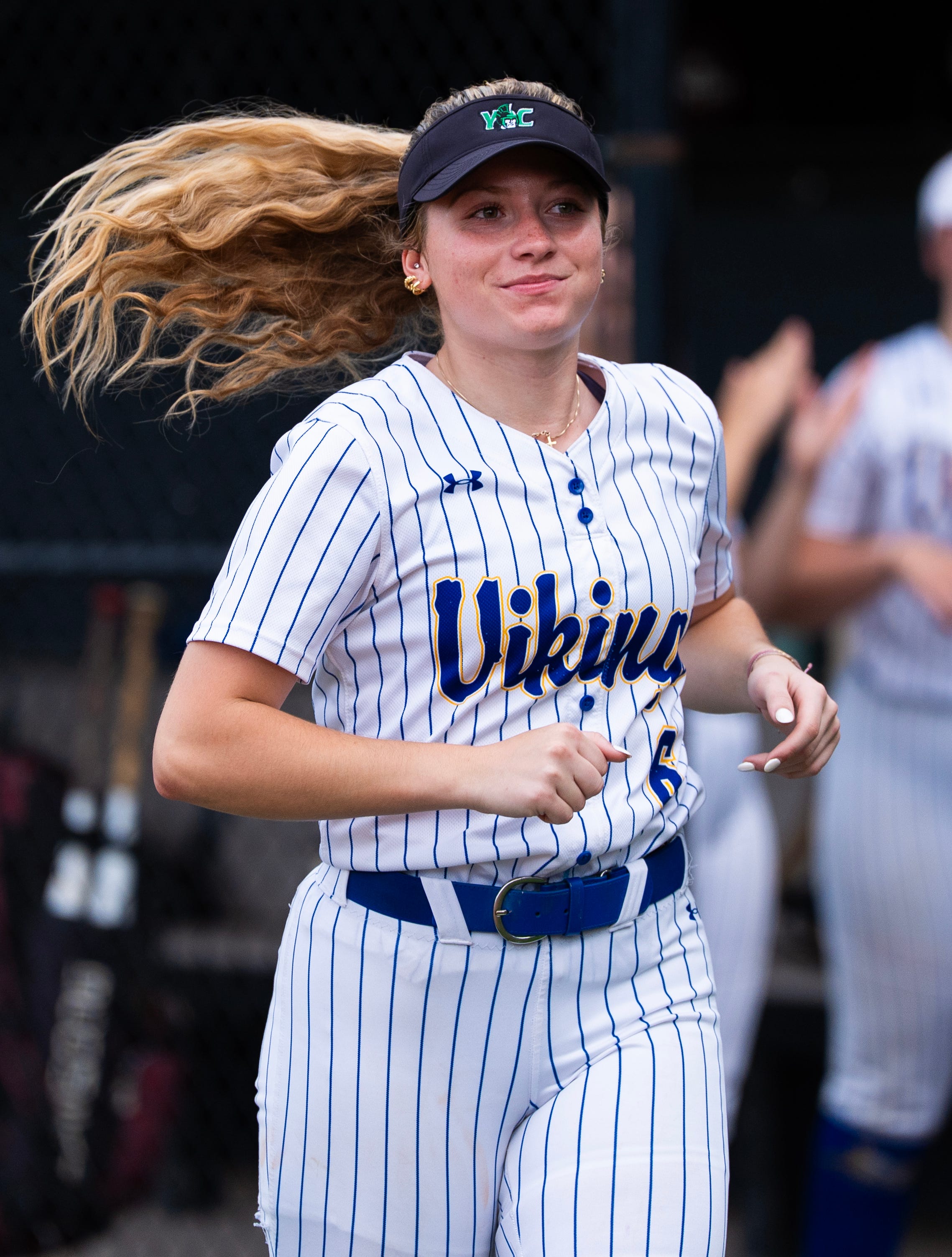 Vote for Lebanon County's best players in each spring sport in 2026