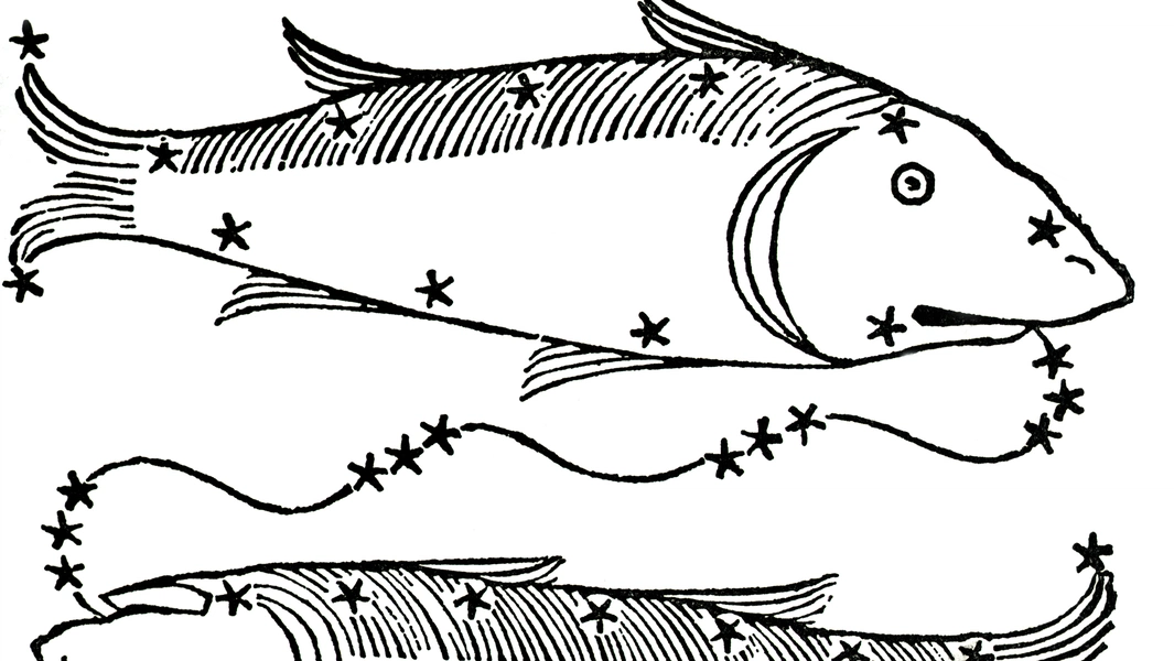 Pisces urged to curb spending and nurture emerging talents