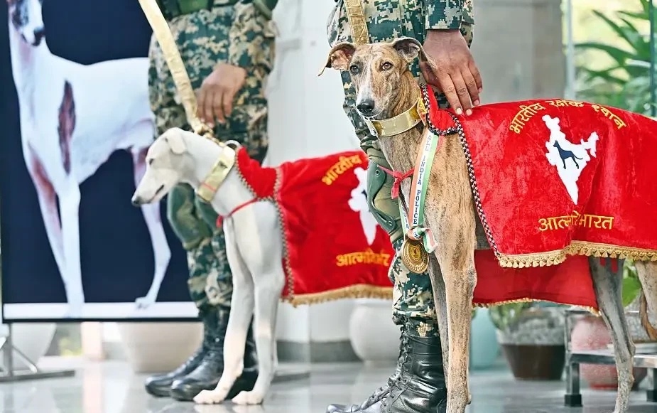 Indian Army pairs Rampur hounds with robotic dogs at PRAGATI 2026