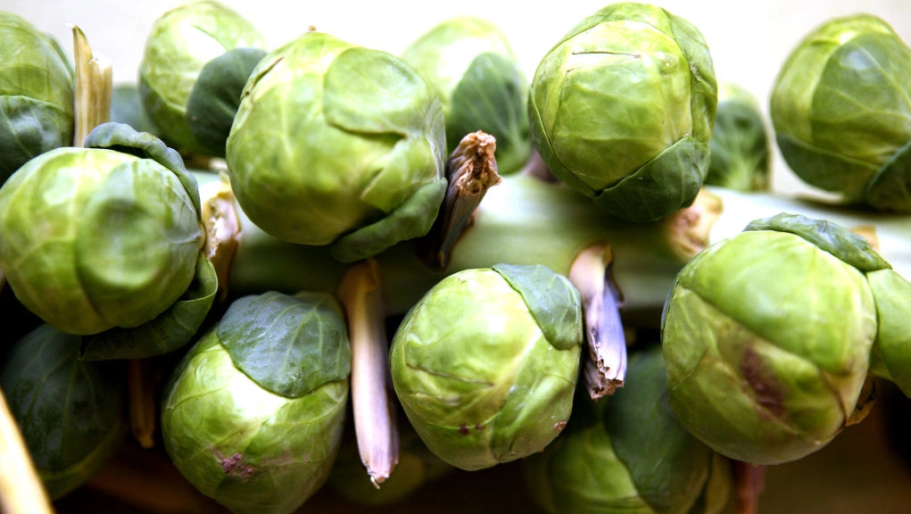 Cardiologists rank Brussels sprouts top for heart health