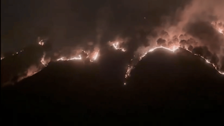 Massive forest fire breaks out in Himachal Pradesh’s Kandaghat region