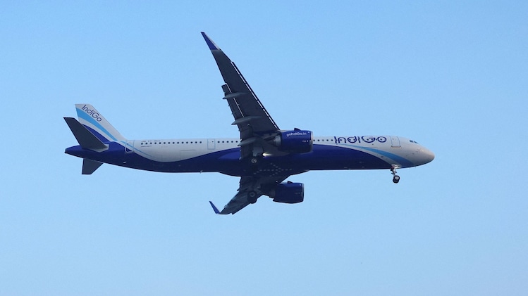 Air India, IndiGo to cut domestic flights from June 1: Report