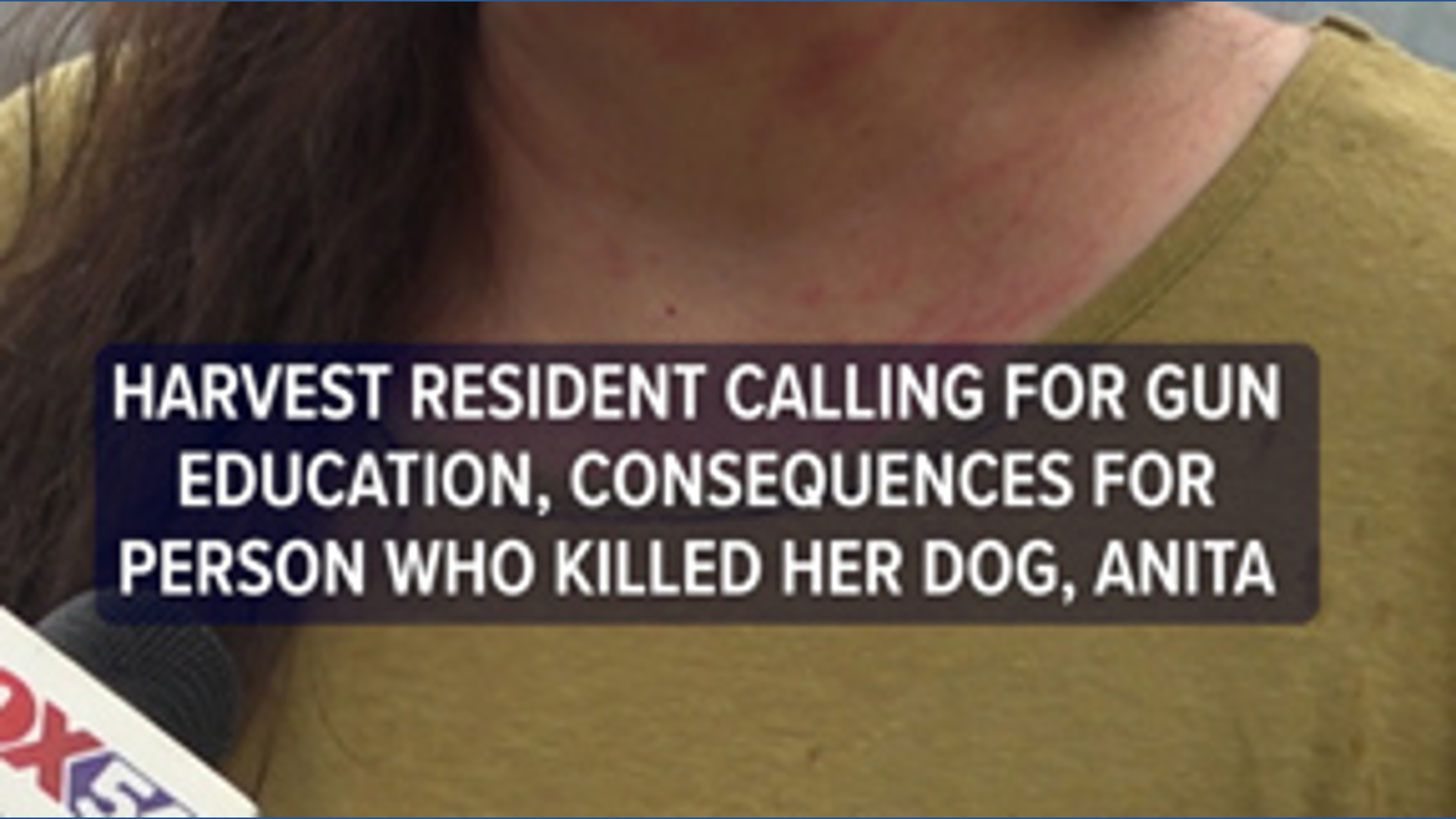 Harvest resident calling for gun education, consequences for person who ...
