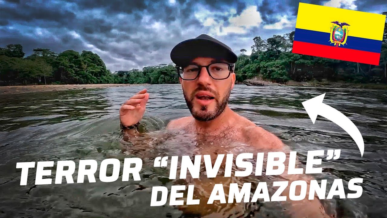 Esta criatura casi invisible causa terror en los ríos del Amazonas👀😱 ...