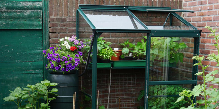 Costco is selling a charming mini greenhouse that fits almost anywhere