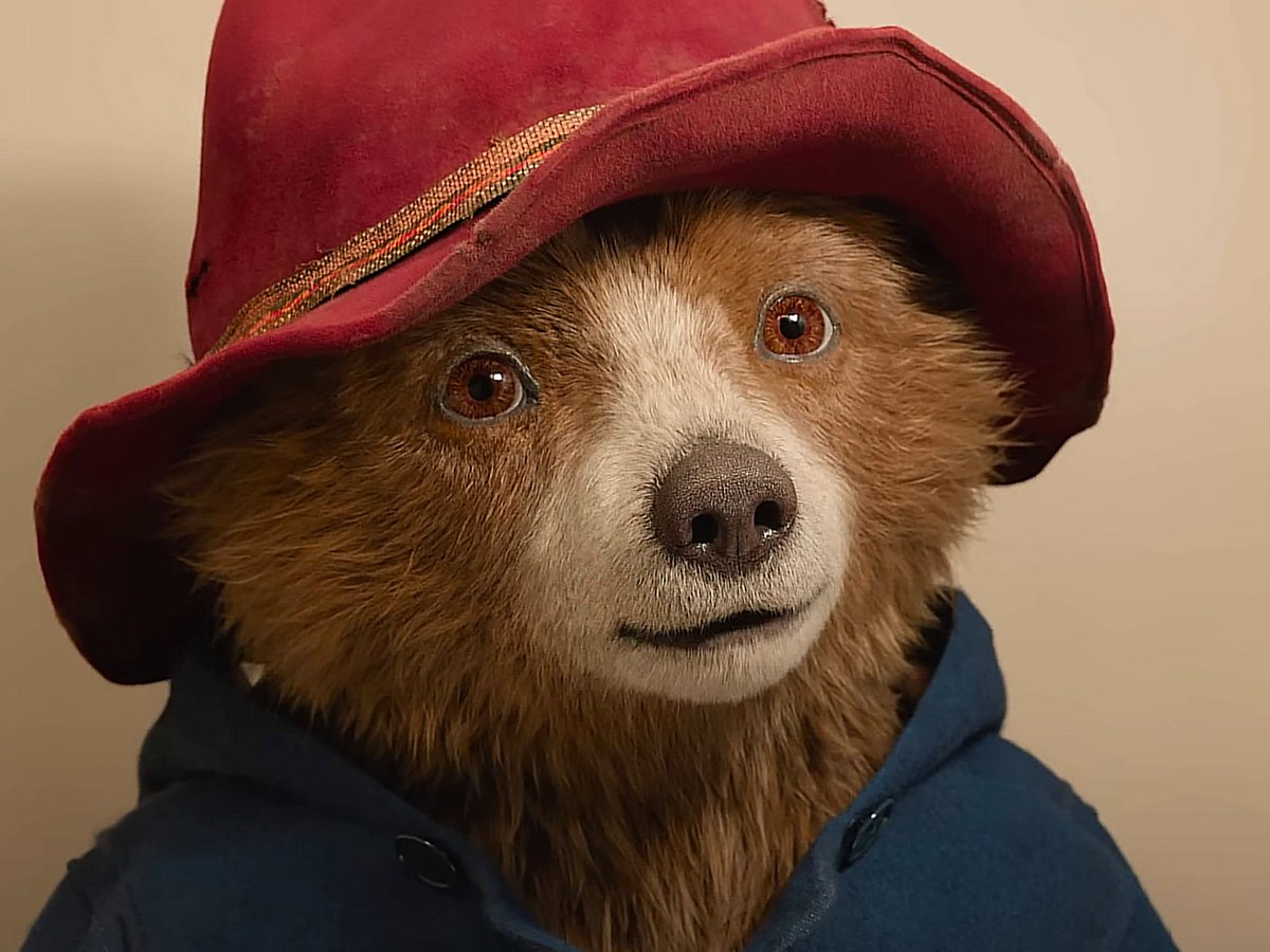 "Paddington 4" nimmt weiter Form an: Namhaftes Autoren-Duo gefunden