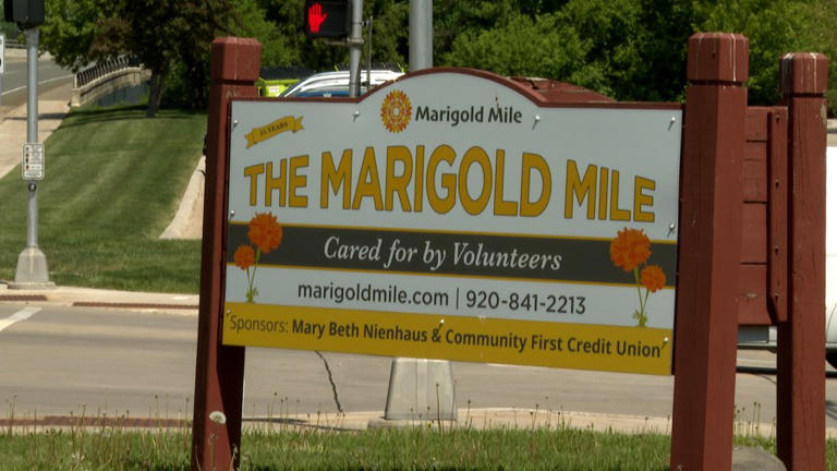 Appleton’s South Oneida Street transforms into Marigold Mile
