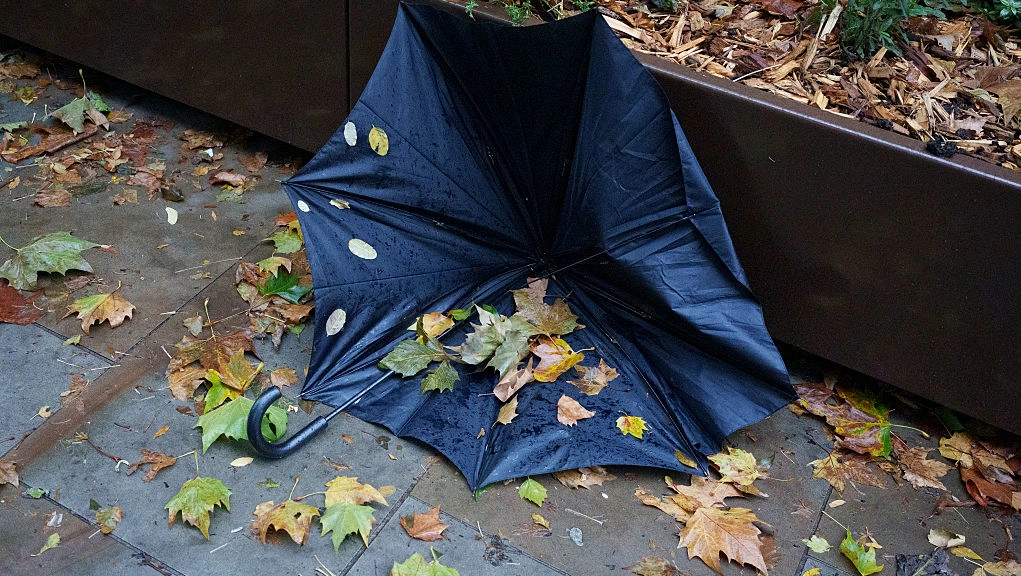 Patio umbrella kills woman during sudden storm in SC