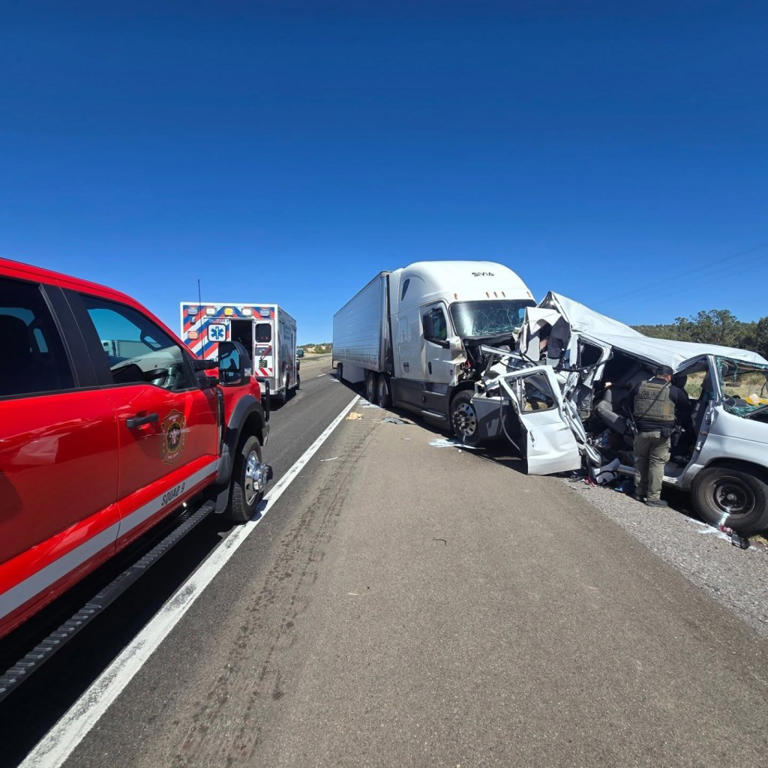 Popular punk band Peelander-Z rushed to hospital after horror crash ...