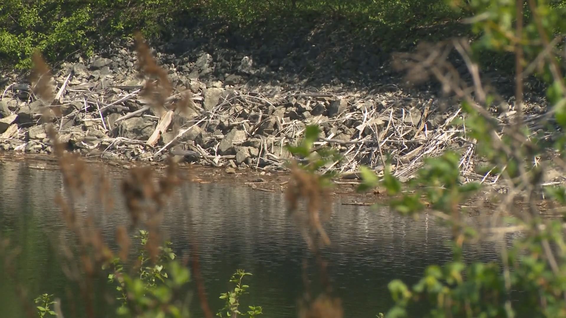 Early warning signs of summer drought in parts of BC