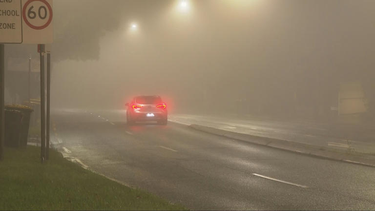 Warning of flight delays at Sydney airport as thick fog covers city
