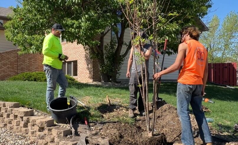Tree removal companies prepare for busy season