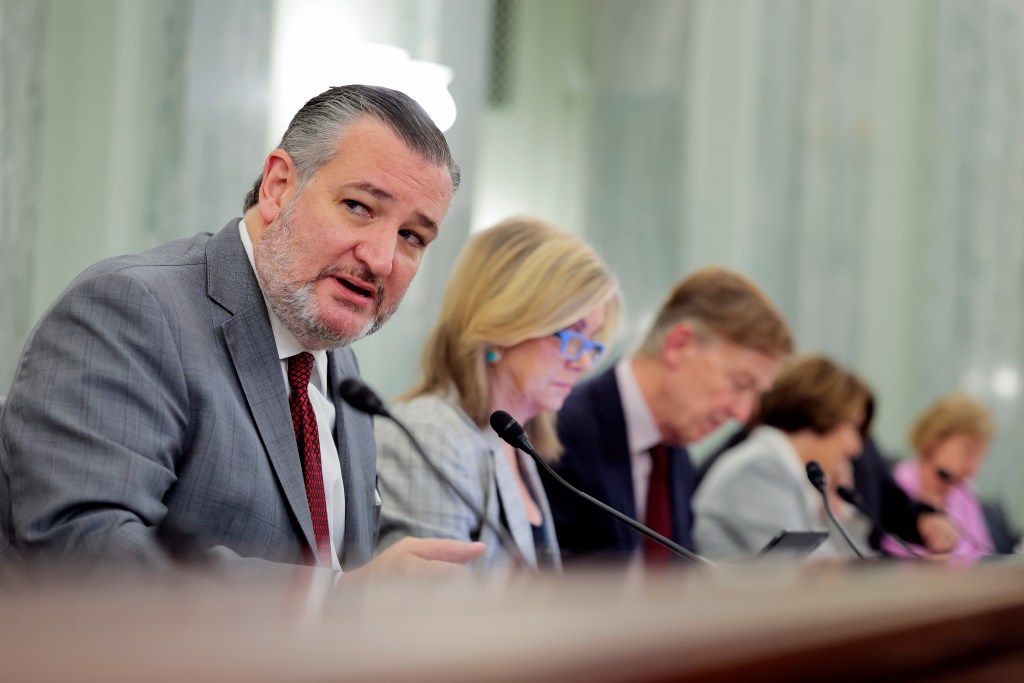 Ted Cruz calls out Gavin Newsom after paying $3.99 a gallon in Texas ...