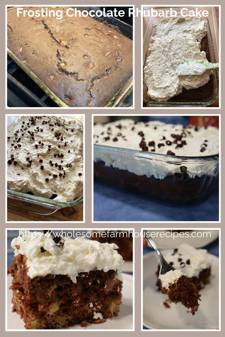 Easy chocolate rhubarb cake with cream cheese frosting