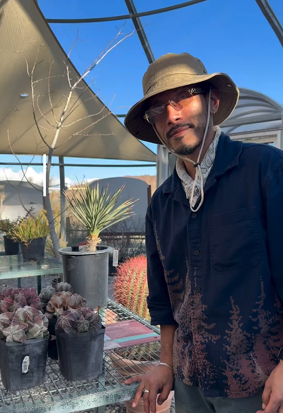 Cactus y plantas suculentas: cuál elegir para tu colección plant lover
