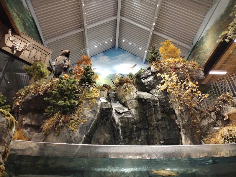 This New Jersey outdoor store has a 13,000-gallon freshwater fish tank ...