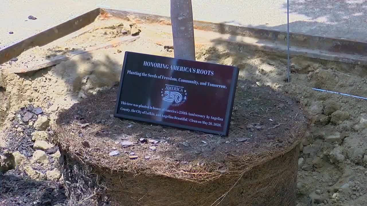 Lufkin plants 'Freedom' tree for America 250 celebration