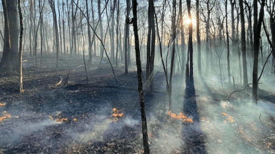 Spring fire season 2026 recap