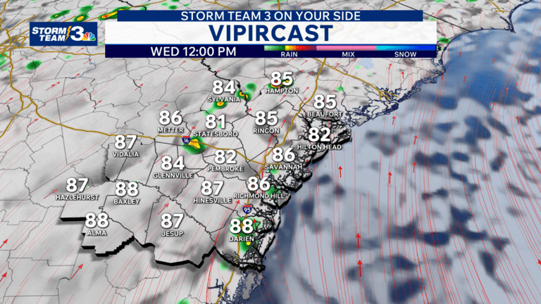 Storm Team 3: Hot & humid afternoons with scattered storms this week