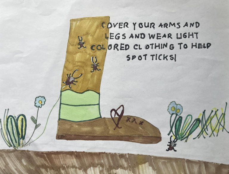 Maine CDC reveals Lyme disease awareness poster contest winners