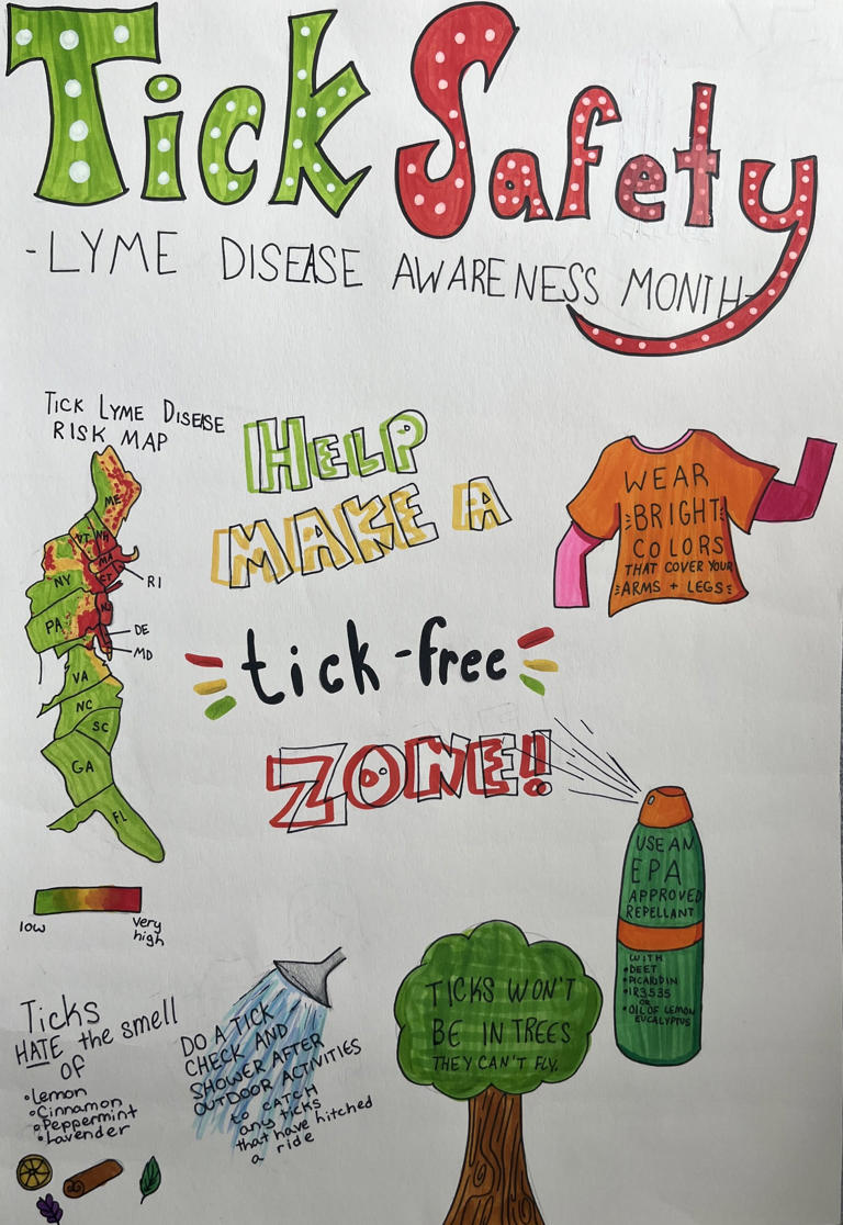 Maine CDC reveals Lyme disease awareness poster contest winners