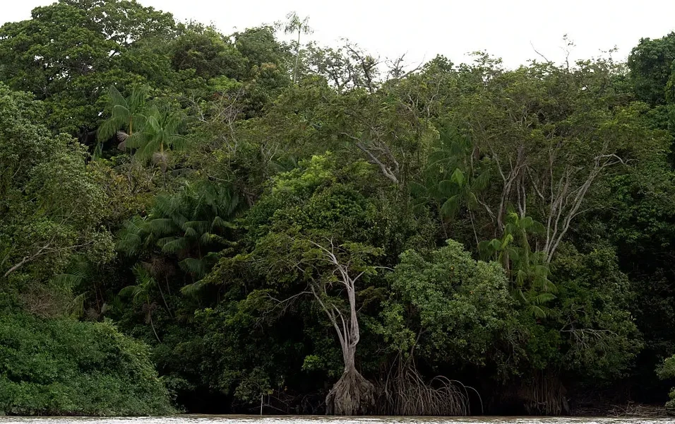 Brazil commits $617.5M to Amazon eco investment drive