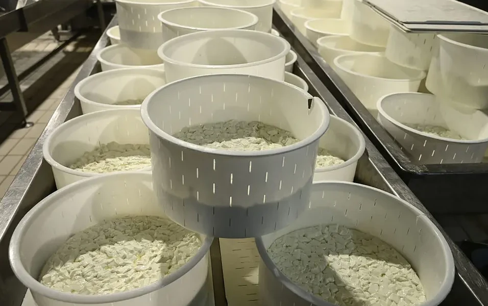 Feta cheese secrets every foodie should know