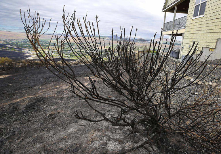 Evacuation order lifted as 1,700-acre Badger Canyon fire nearly contained