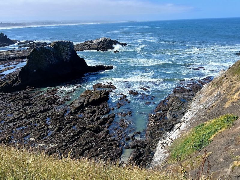 Oregon has a 1.7-mile trail that ends at a shipwreck from 1913 half ...