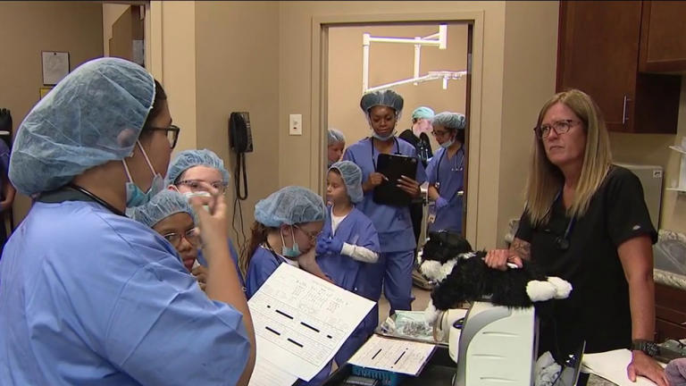 Vistancia Animal Hospital partners with West-MEC to train future vet techs