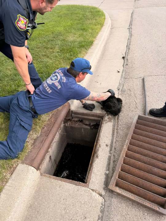 Cat rescued from Rapid City storm drain