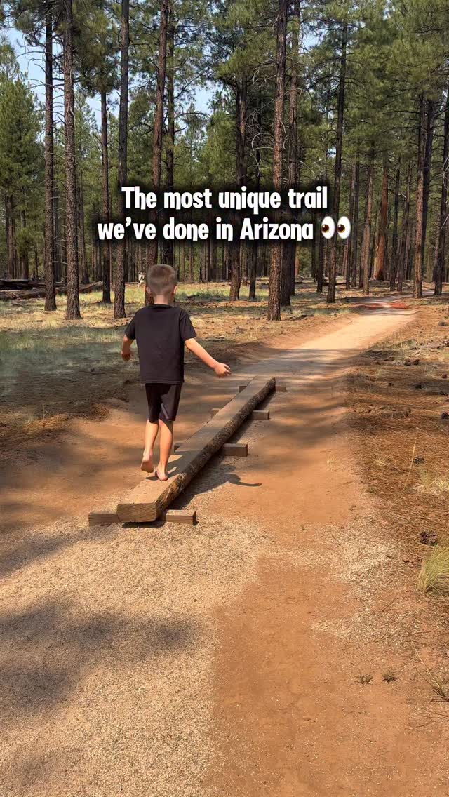 Barefoot Trail Flagstaff Perfect Arizona Family Outdoor Activity
