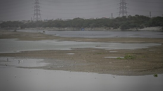 Yamuna level nears historic low of 667 feet, Delhi starts to feel the pinch