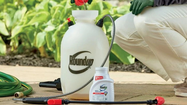 5 weed killer products to steer clear of (and 6 better alternatives)