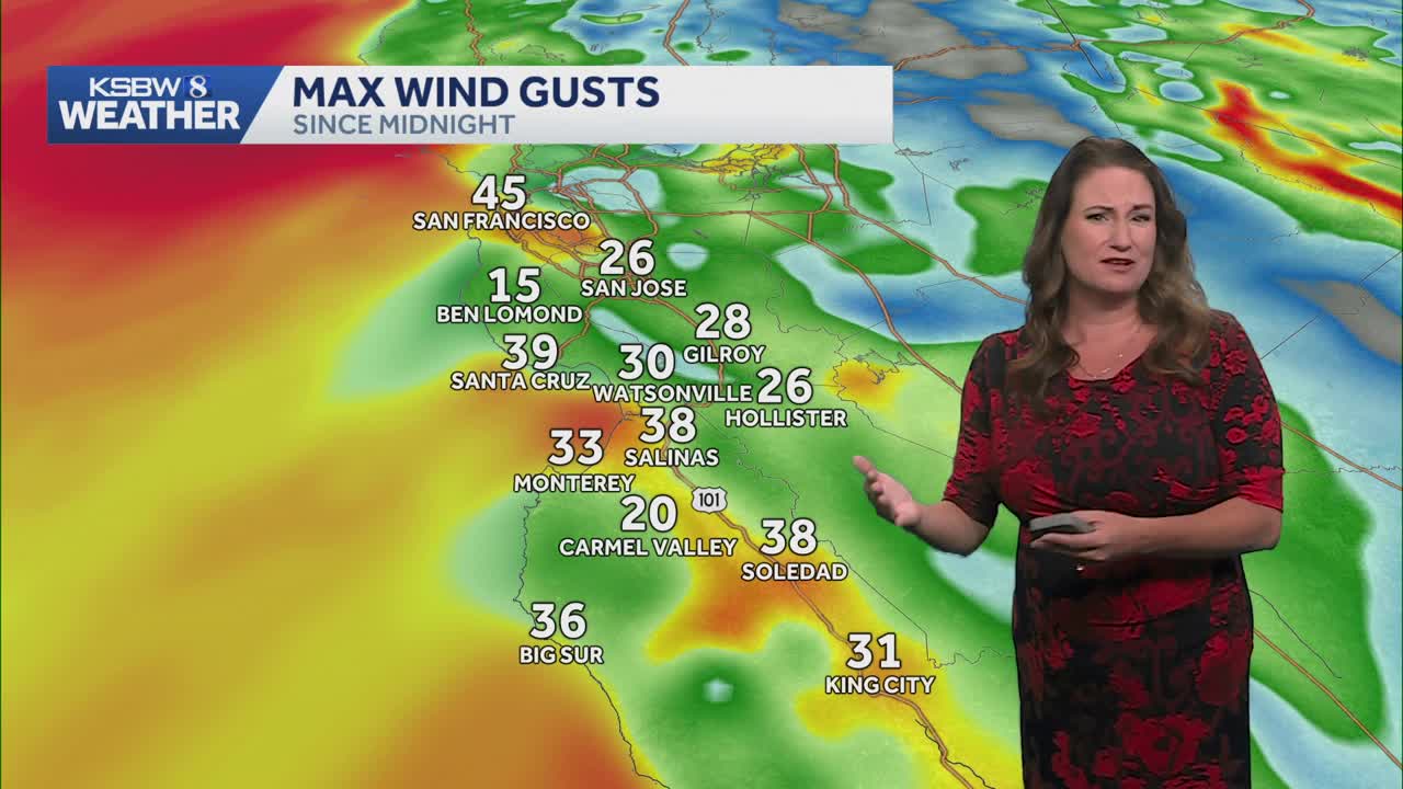 Windy, cool & wet