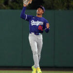 Dodgers star prospect injured by team 'bat dog' in freak accident
