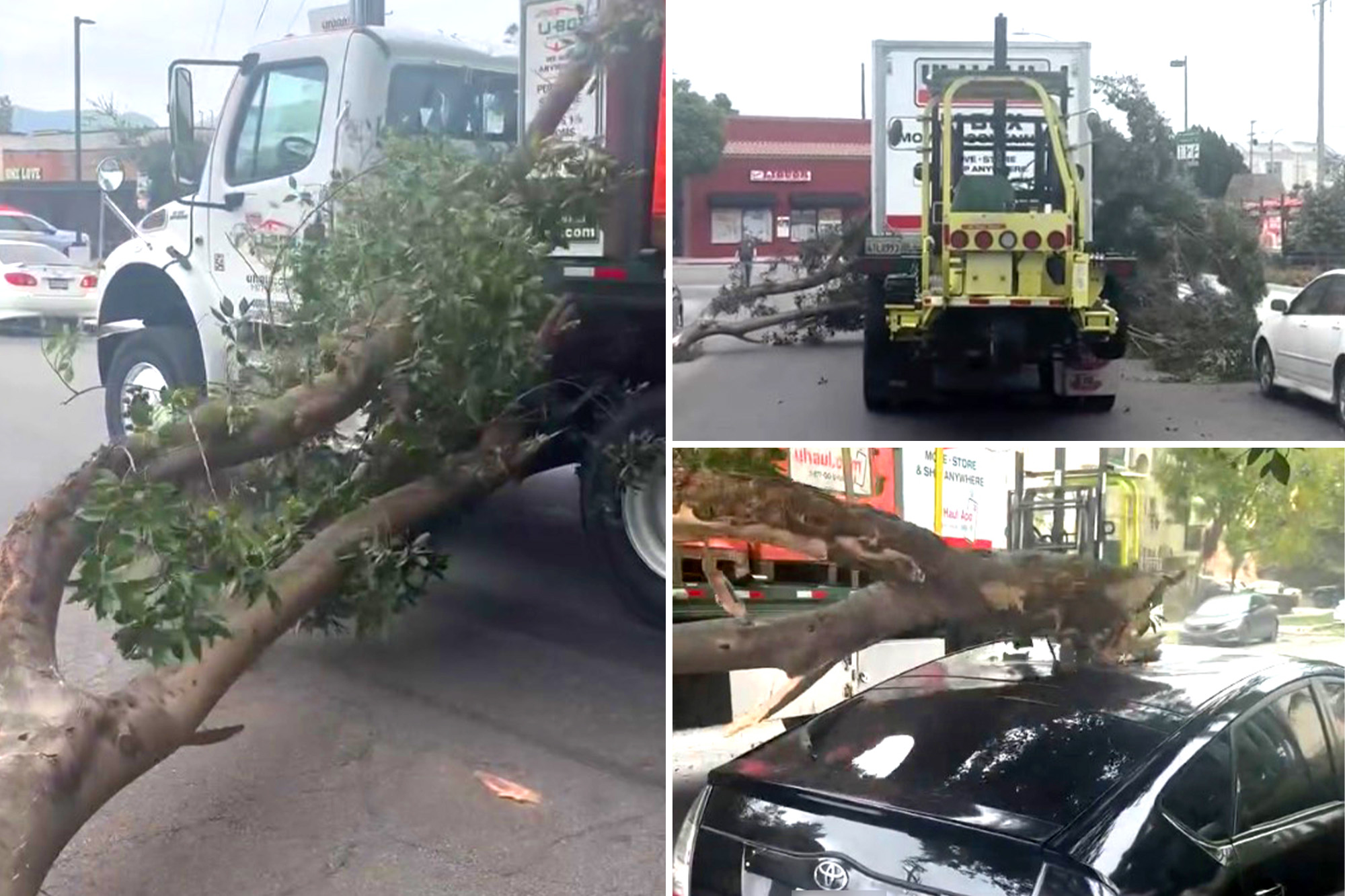 Terrifying moment row of cars totaled on LA street — and the shocking ...