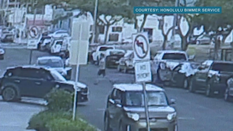 Tesla driver in California road rage attacks sentenced in Hawaii