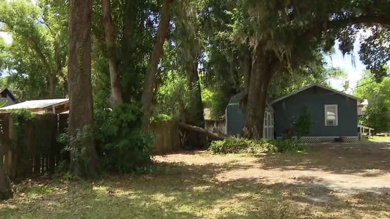 Plant City family quadruple murder case remains unsolved nearly 1 month ...