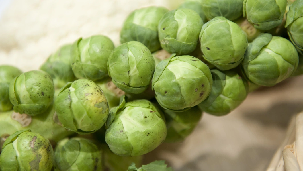 Cardiologists rank Brussels sprouts top for heart health